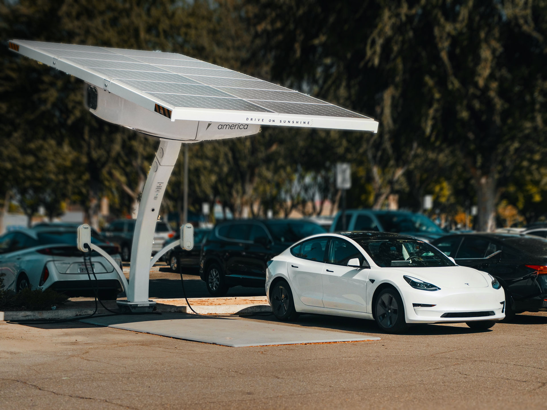 Transportation Electrification’s Impact on the Electric Distribution ...